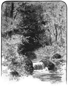 The Brook by Ellen Carhart - Rainy Day Poems